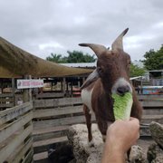 MARANDO FARMS & RANCH - 231 Photos & 80 Reviews - Farmers Market - 5151 ...