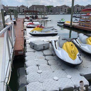 RUDEE INLET JET SKI RENTALS - 37 Photos & 43 Reviews - 300 Winston ...