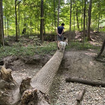 MAROTT PARK - Updated October 2025 - 102 Photos & 24 Reviews - 7350 N ...