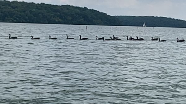 LAKE JACOMO MARINA - Updated December 2025 - 29 Photos & 12 Reviews ...