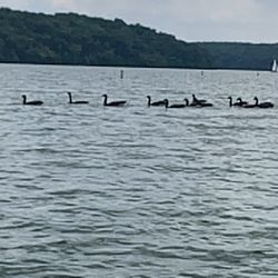 LAKE JACOMO MARINA - 29 Photos - 7401 W Park Rd, Blue Springs, Missouri ...