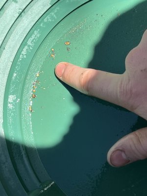 CALIFORNIA GOLD PANNING - Updated December 2025 - 97 Photos & 97 ...