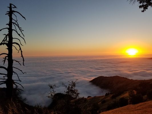 PREWITT RIDGE - Updated January 2026 - 56 Photos & 18 Reviews - Big Sur ...