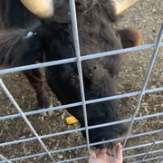 ECKERT’S ORCHARD - 121 Photos & 48 Reviews - 1396 Pinckard Pike ...