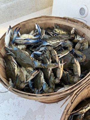 BLUE POINT CRAB COMPANY - Updated December 2025 - 10 Photos - 17847 ...
