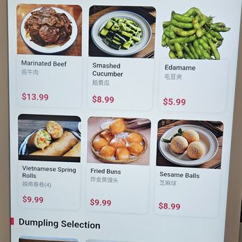 88 DUMPLING HOUSE - Updated May 2025 - 111 Photos & 22 Reviews - 8017 Main St, Houston, Texas ...