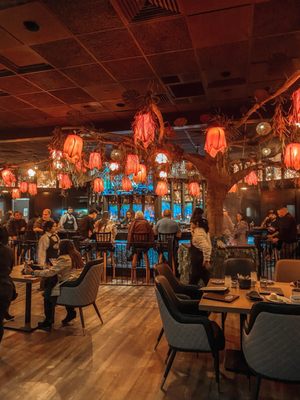 EL TORO PRIME - INDIANAPOLIS - Updated January 2026 - 135 Photos & 69 ...