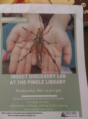 PINOLE LIBRARY - Updated August 2025 - 26 Reviews - 2935 Pinole Valley ...