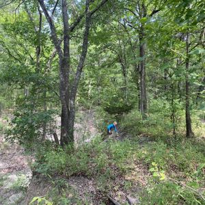 WILDWOOD NATURIST’S RESORT - Updated June 2025 - 241 Private Road 1179 ...