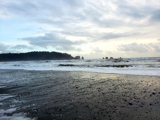 FIRST BEACH AT LA PUSH - Updated September 2025 - 45 Photos - Pacific ...