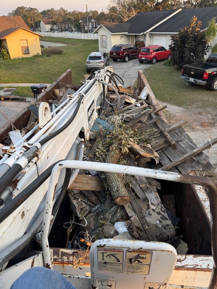 TERRA TREE SERVICES - Updated February 2025 - Request a Quote - Apopka ...