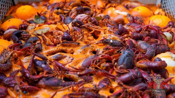 HOODOO CRAWFISH - Updated May 2026 - 49 Photos & 40 Reviews - Austin ...