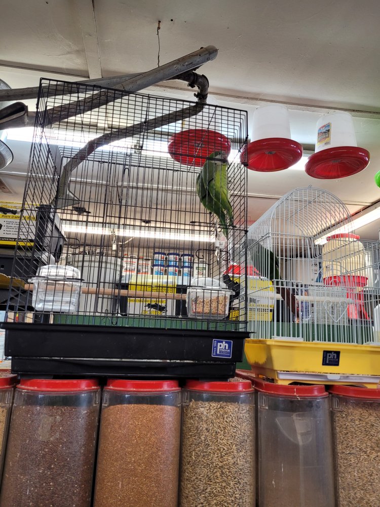 MOORE’S FEED & SEED STORE - Updated May 2025 - 20 Photos & 15 Reviews ...