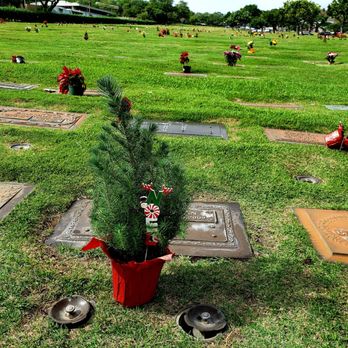 DIAMOND HEAD MEMORIAL PARK - Updated December 2025 - 159 Photos & 24 ...