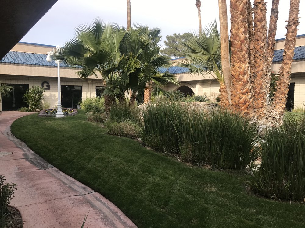 GOOD LIFE PRIMARY AND WOUND CARE - Updated December 2025 - 17 Reviews ...