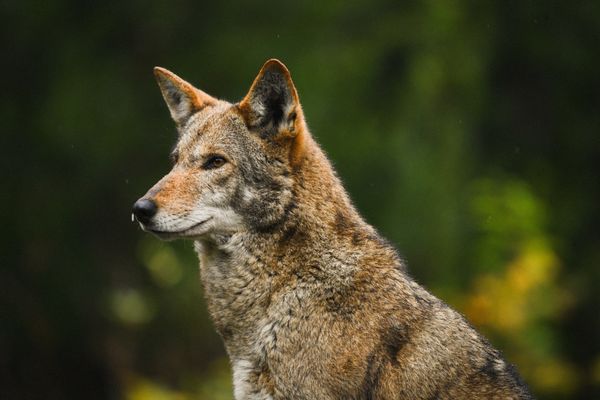 POINT DEFIANCE ZOO & AQUARIUM - Updated September 2025 - 1863 Photos ...