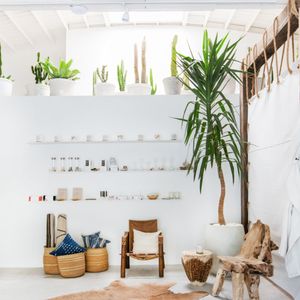 EMERALD LINE - Updated July 2024 - 86 Photos & 84 Reviews - 1800 NW ...