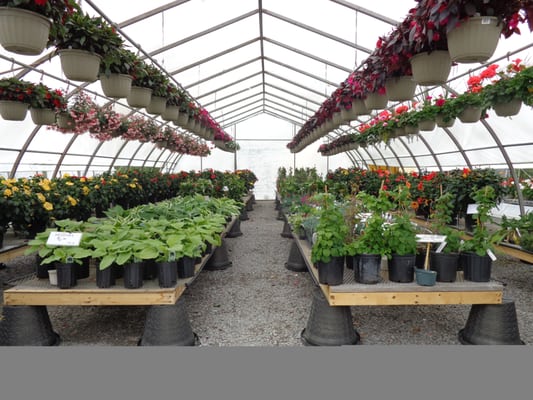 BLOOMIN’ CRAZY GARDEN CENTRE - Updated October 2025 - 230 Highway 20 E ...