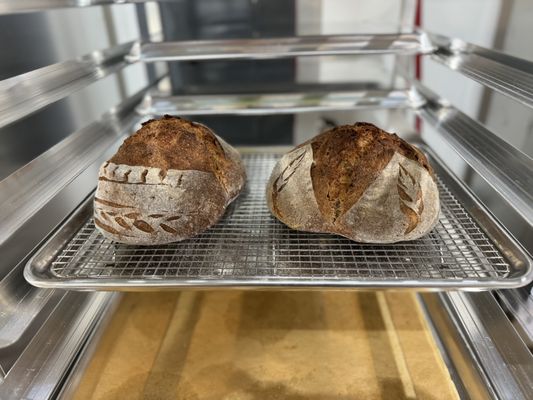 ANH’S BREAD THERAPY - Updated December 2025 - 13 Photos - 77 16th Ave SW, Cedar Rapids, Iowa ...