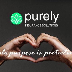 KCAL INSURANCE AGENCY - Updated July 2025 - 40 Photos & 30 Reviews ...