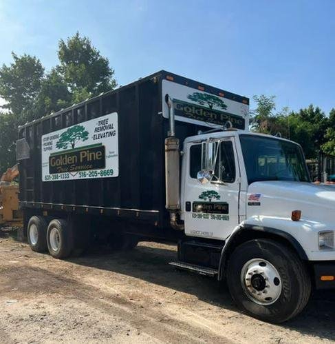 GOLDEN PINE TREE SERVICE - Updated December 2025 - 11 Reviews - 185 Oak ...