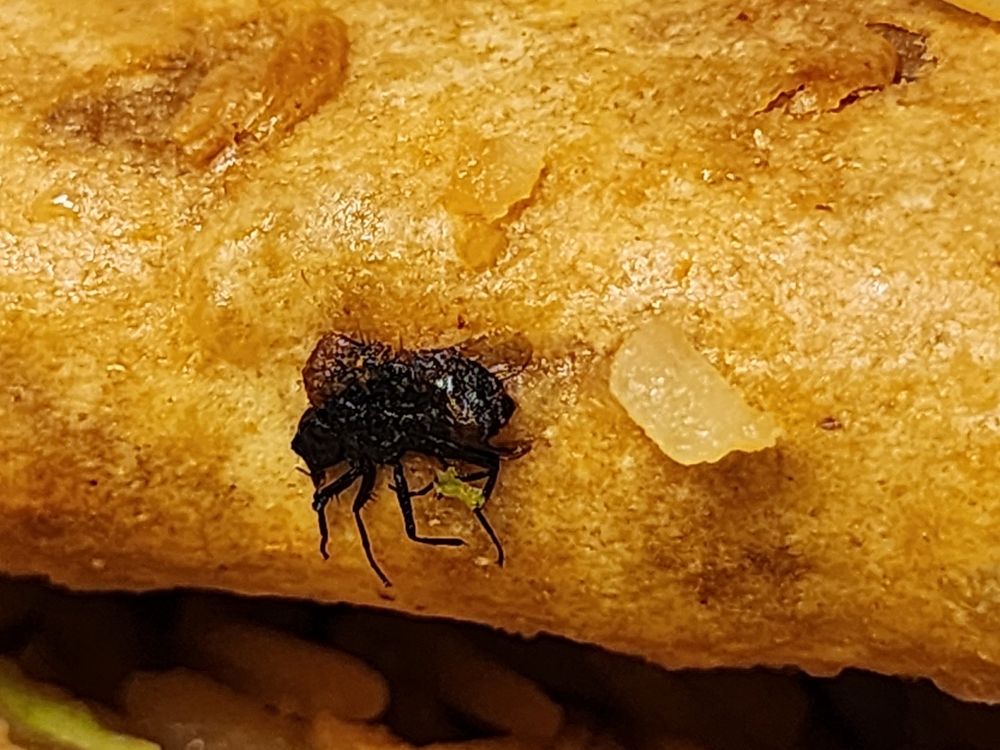 ROAD RUNNER MEXICAN FAST FOOD - 15 Photos & 28 Reviews - 2420 Oliver ...