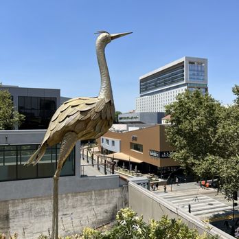 DARLING AVIARY - Updated April 2025 - 870 Photos & 677 Reviews - 712 K ...