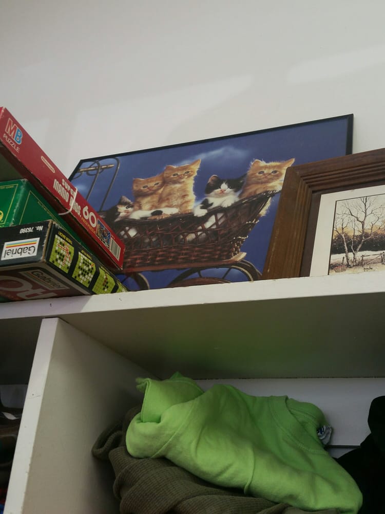 THINGERIE THRIFT SHOP - Updated October 2025 - 40915 Sierra Dr, Three ...