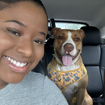 PENDER VETERINARY CENTRE - FAIRFAX - Updated January 2025 - 98 Photos ...