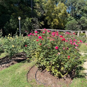RALEIGH ROSE GARDEN - Updated September 2025 - 185 Photos & 23 Reviews ...