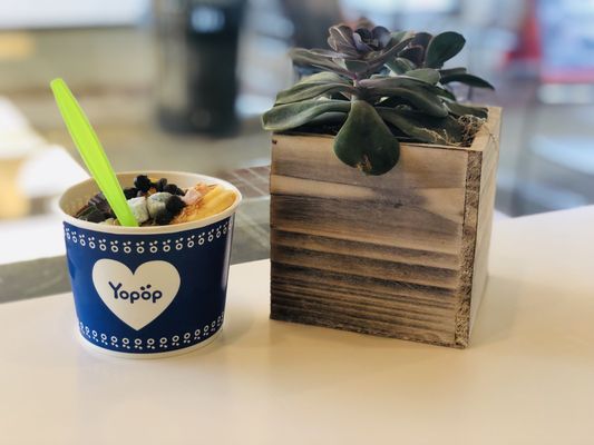 YOPOP - 233 Photos & 155 Reviews - 5353 Almaden Expy, San Jose ...