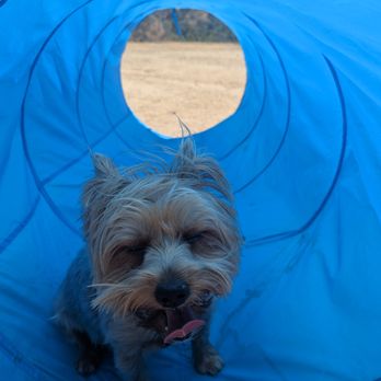 OLIVE DELL RANCH - Updated October 2025 - 11 Photos & 40 Reviews ...