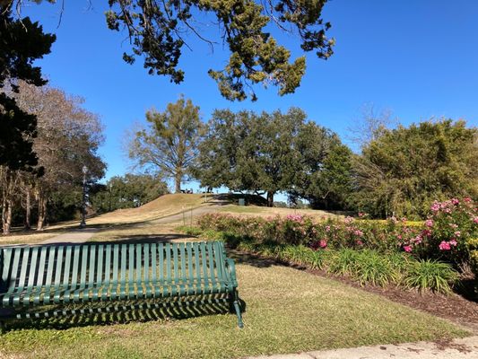 ARSENAL PARK - Updated December 2024 - 156 Photos - 1000 N 5th St ...