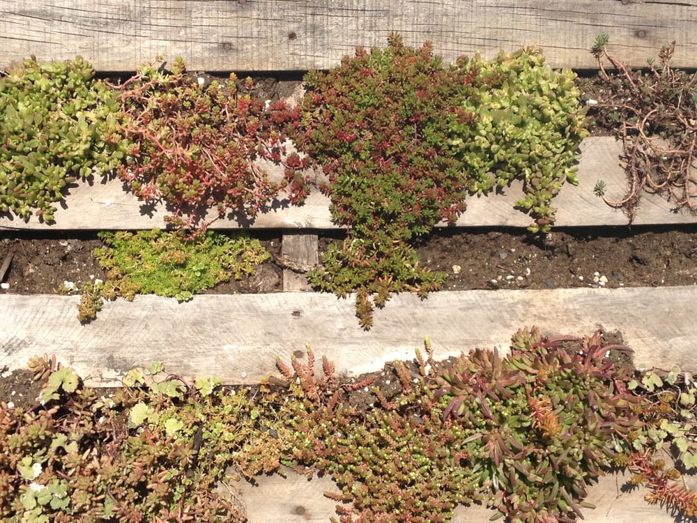 GALLACCI GARDEN PARK AT THE MARKET - Updated March 2025 - 21 Photos ...