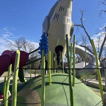 CEDAR PARK PUBLIC LIBRARY - Updated December 2025 - 154 Photos & 55 ...