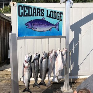 GEORGE INLET LODGE - 223 Photos & 72 Reviews - 11728 S Tongass Hwy ...