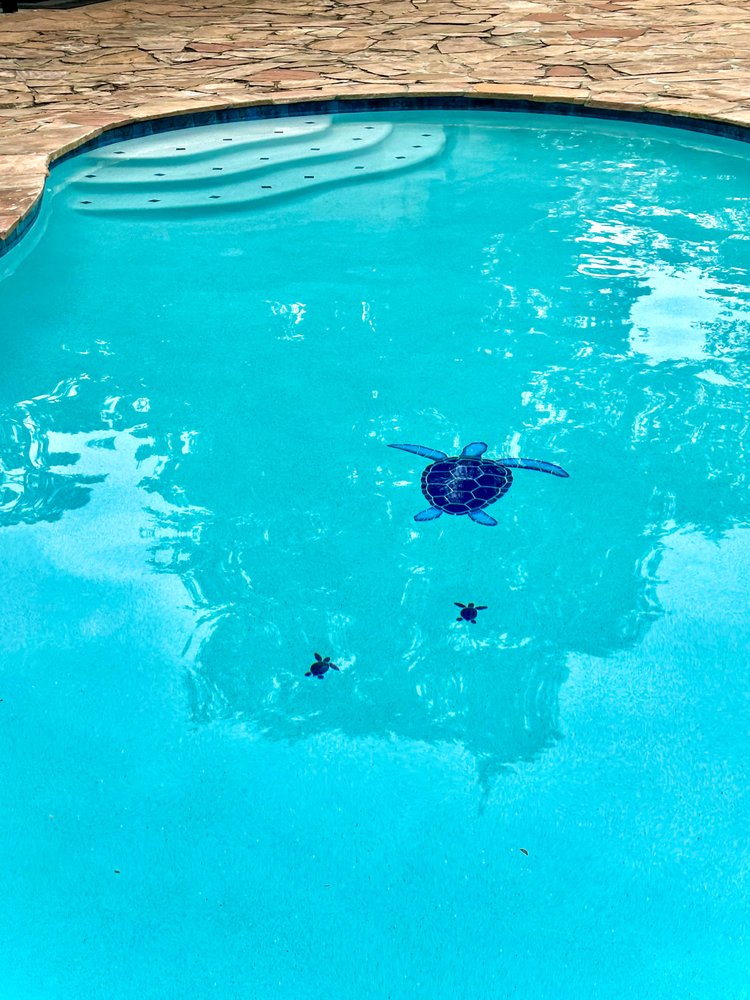 ALOHA SWIMMING POOLS - Updated December 2025 - 41 Photos & 43 Reviews ...