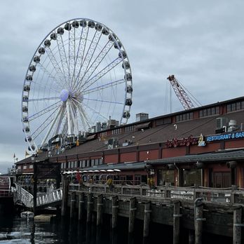 WING DOME - Updated December 2024 - 116 Photos & 119 Reviews - 1201 ...