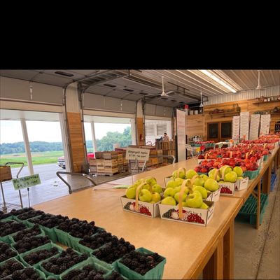 LEWIS ORCHARDS - Updated May 2026 - 87 Photos & 56 Reviews - 18900 ...
