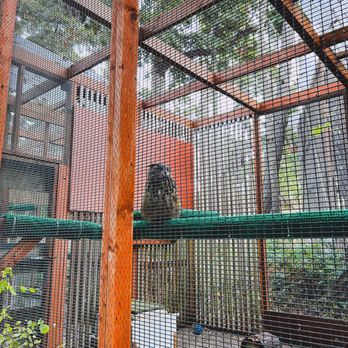 CASCADES RAPTOR CENTER - Updated November 2025 - 158 Photos & 115 ...