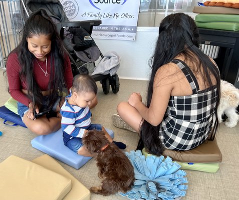 SMART PUPPIES . - Updated December 2025 - 501 Summer St, Stamford ...