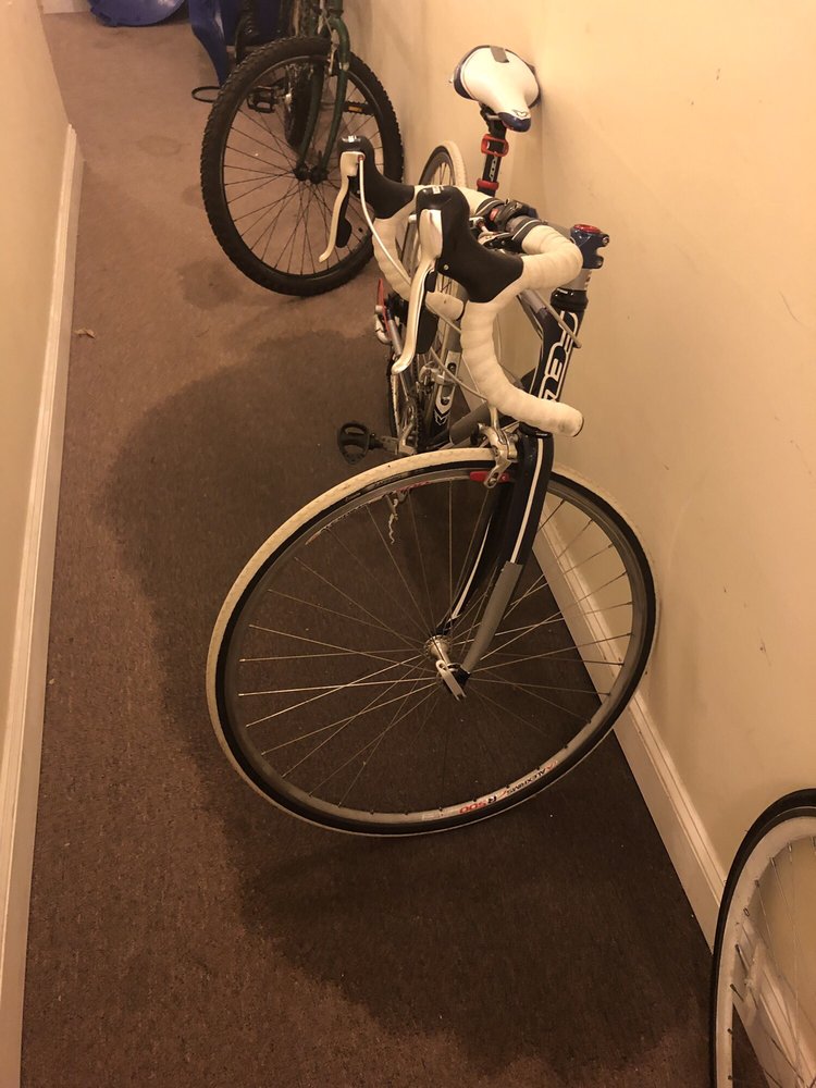 FGO LOGISTICS - Updated August 2024 - 38 Reviews - 630 Blvd, Elmwood ...