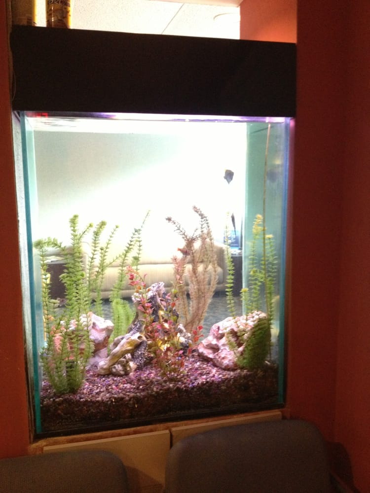 KASHUK KEITH B DR DPM - 6350 Sunset Dr, Miami, Florida - Podiatrists ...