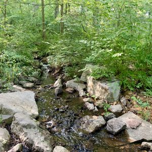 BEE TREE PARK - Updated August 2024 - 53 Photos & 16 Reviews - 2701 ...