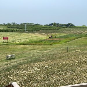 FENN VALLEY VINEYARDS & WINE CELLAR - 148 Photos & 112 Reviews - 6130 ...