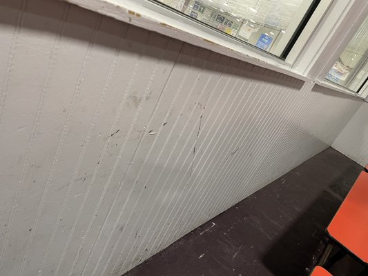 BREWSTER ICE ARENA - Updated December 2024 - 24 Photos & 28 Reviews ...