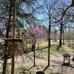 GO APE ZIPLINE & ADVENTURE PARK - 38 Photos & 36 Reviews - 13219 ...