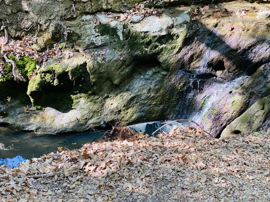 SYCAMORE CANYON PARK - Updated March 2025 - 757 Photos & 174 Reviews ...