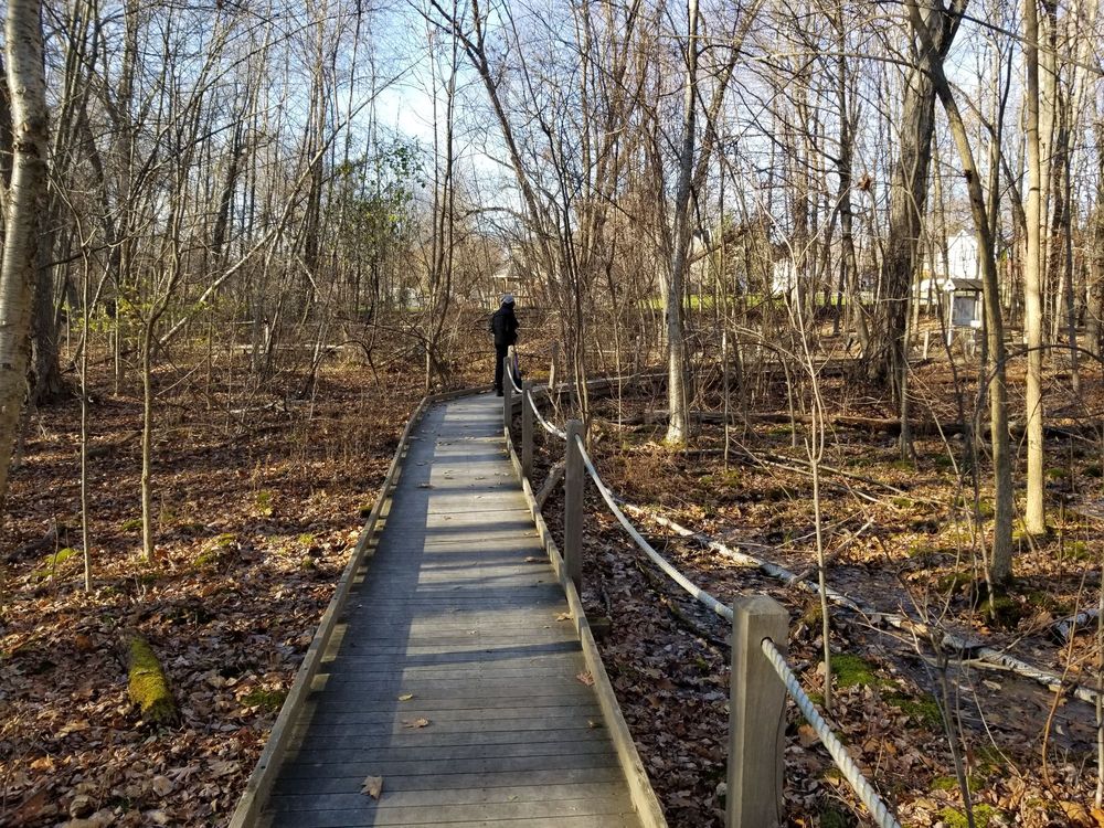 MASS AUDUBON BROAD MEADOW BROOK WILDLIFE SANCTUARY - 67 Photos & 13 ...