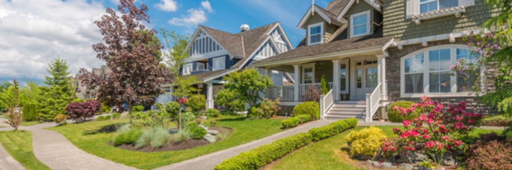 ADVANCED TREE & LANDSCAPE SERVICES - Updated January 2025 - Tampa ...